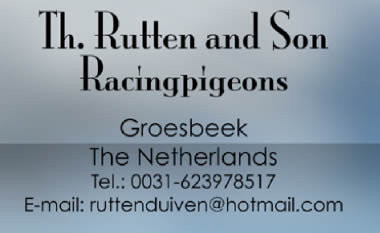 Pigeon Auction Portugal, GPloft.com