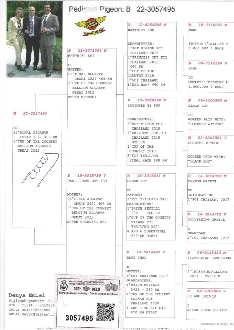 Pigeon Auction BE-3057495-22, seller Emiel Denys (22º / Ace:41º ...