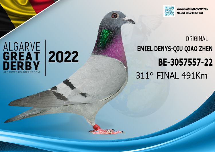 Pigeon Auction BE-3057557-22, seller Emiel Denys-Qiu Qiao Zhen (311º ...