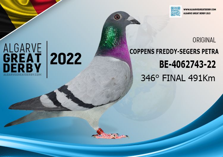 Pigeon Auction BE-4062743-22, seller Coppens Freddy-Segers Petra (346º ...