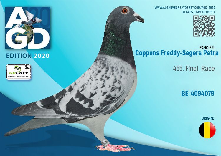 Pigeon Auction BE-4094079, seller Coppens Freddy-Segers Petra (455º ...