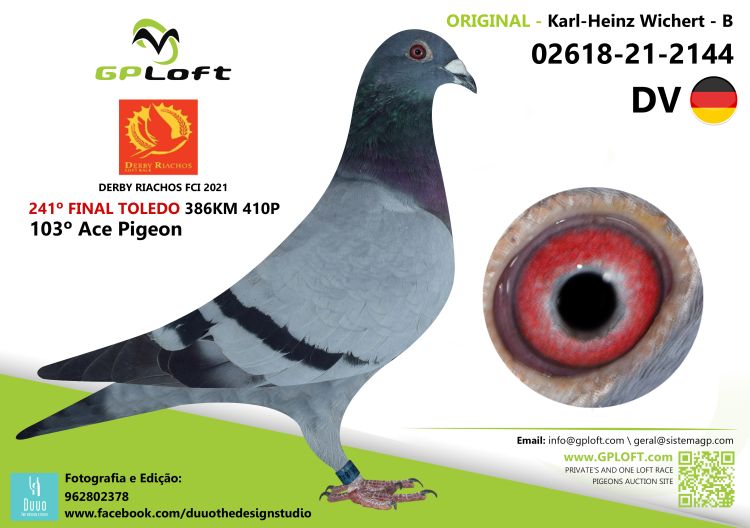Pigeon Auction DE-02618-21-2144, seller Karl-Heinz Wichert - B (241º / Ace:103º) | GPloft.com ...
