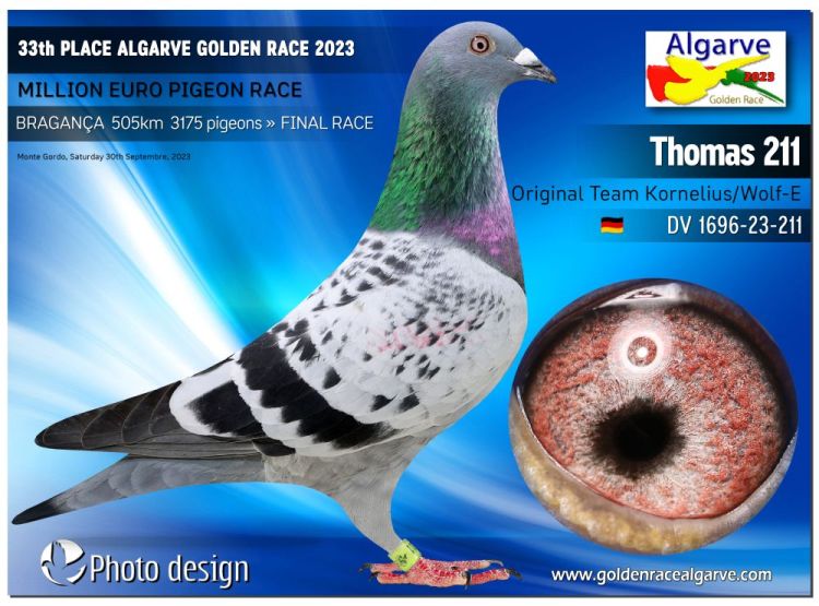 Pigeon Auction DE-1696-211, seller Team Kornelius+Wolf-E (33º Final ...