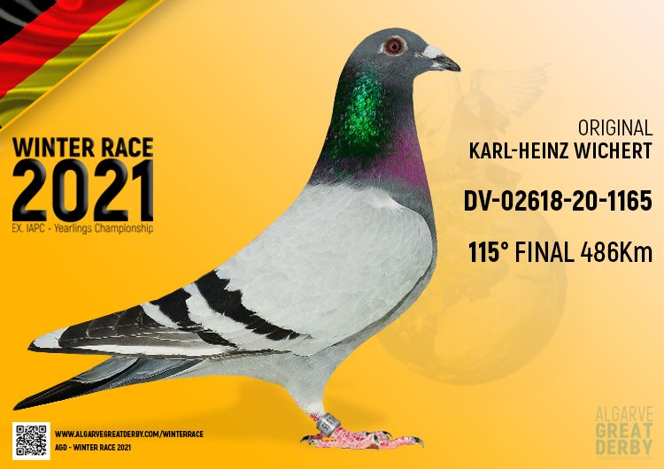 Pigeon Auction DV-02618-20-1165, seller KARL-HEINZ WICHERT (115º / Ace:224º) | GPloft.com, Portugal
