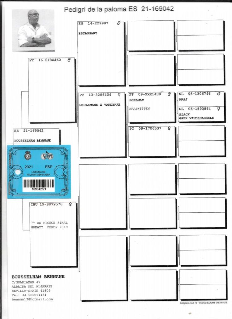 Leilão do Pombo ES21-169042 do proprietário CARLOS GLÓRIA & MANUEL ...