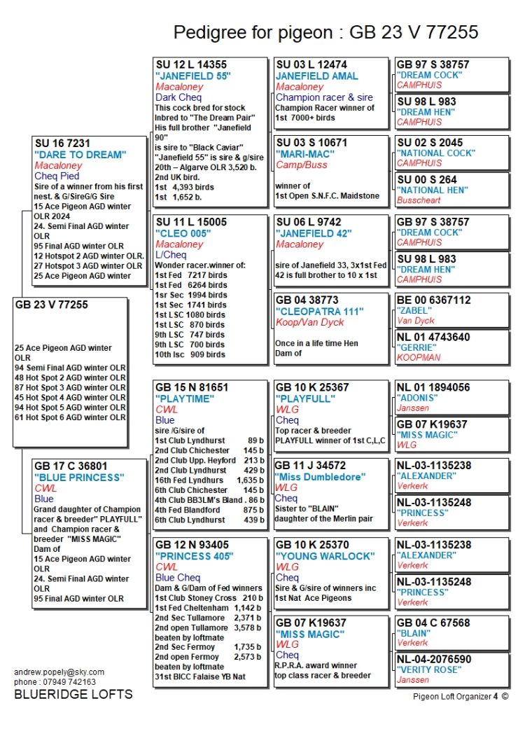 Pigeon Auction GB-23-V-77255, seller CPD Syndicate - A (241º in Final ...