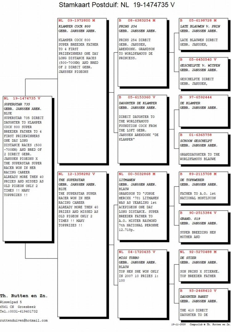 Pigeon Auction NL19-1474735, seller THEO RUTTEN & SON | GPloft.com ...