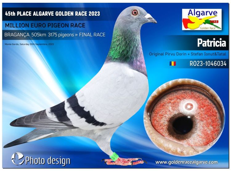 Pigeon Auction RO-1046034, seller Pirvu Dorin + Stefan Ionut & Tatal ...